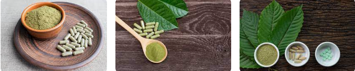 What is kratom and its use? - MyMedicPlus