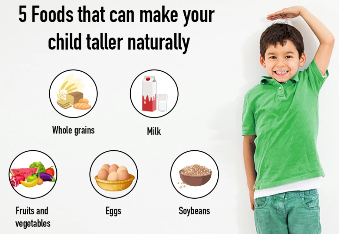 Does Good Protein intake Increase Height - MyMedicPlus