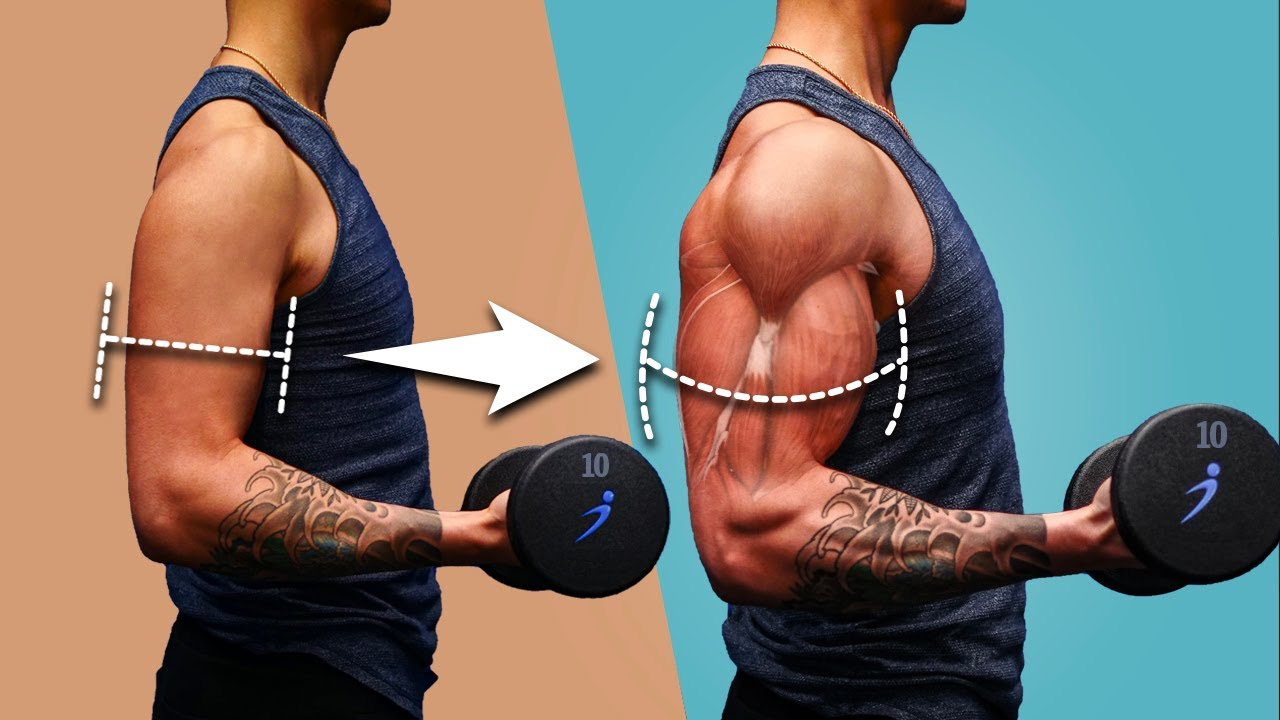 How to do Weight gain and muscle building - MyMedicPlus