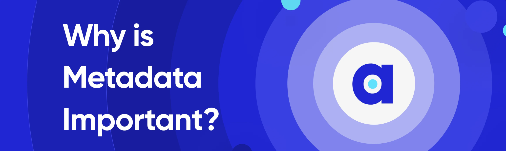 Why Metadata Is Key to Both SEO and Asset Management - MyMedicPlus